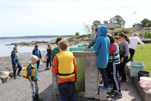 Leirskole - Knattholmen